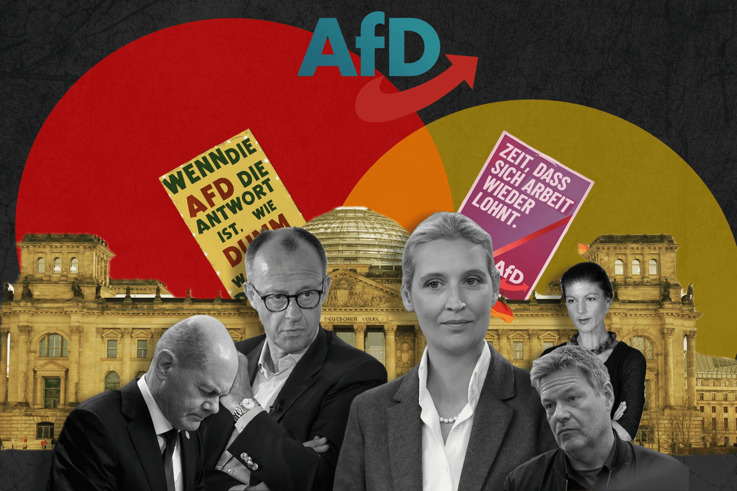 Surveying the Alternative for Germany and the 2025 German Election ...