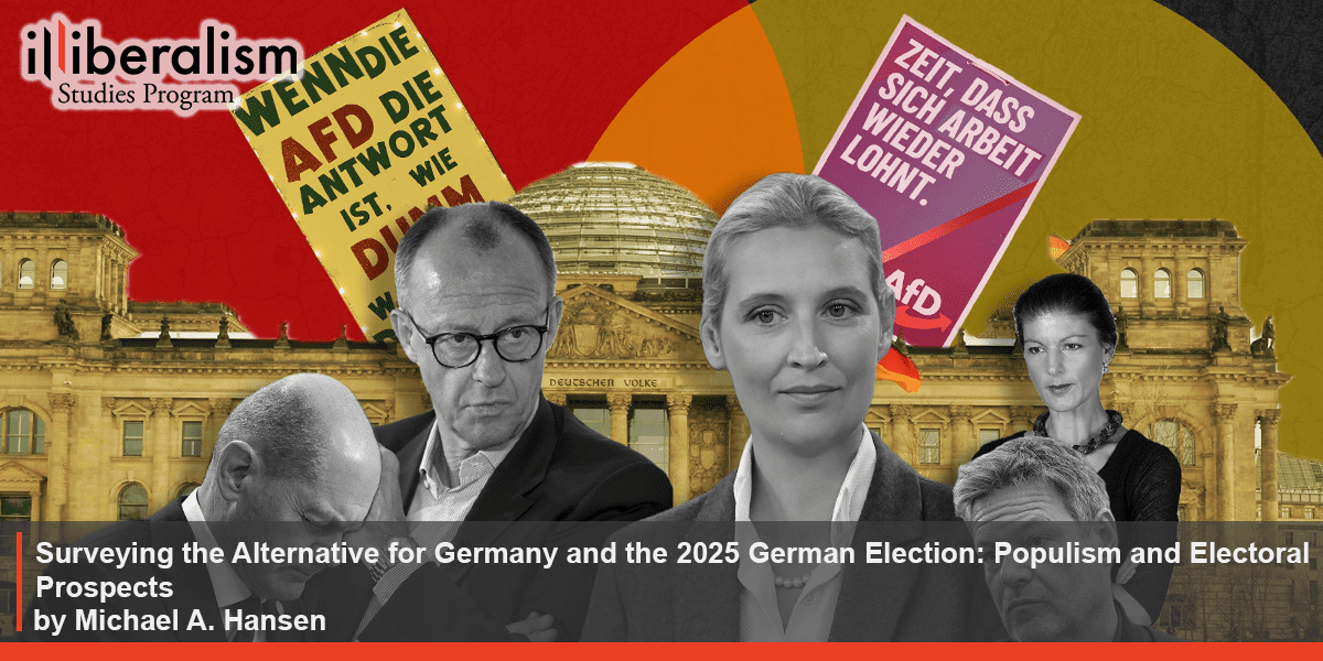 Surveying the Alternative for Germany and the 2025 German Election ...